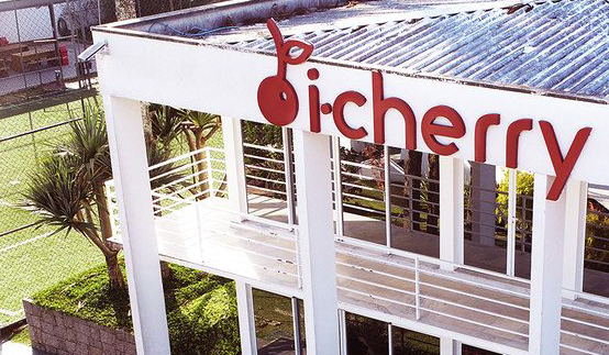 Nossas áreas de atuação | i-Cherry